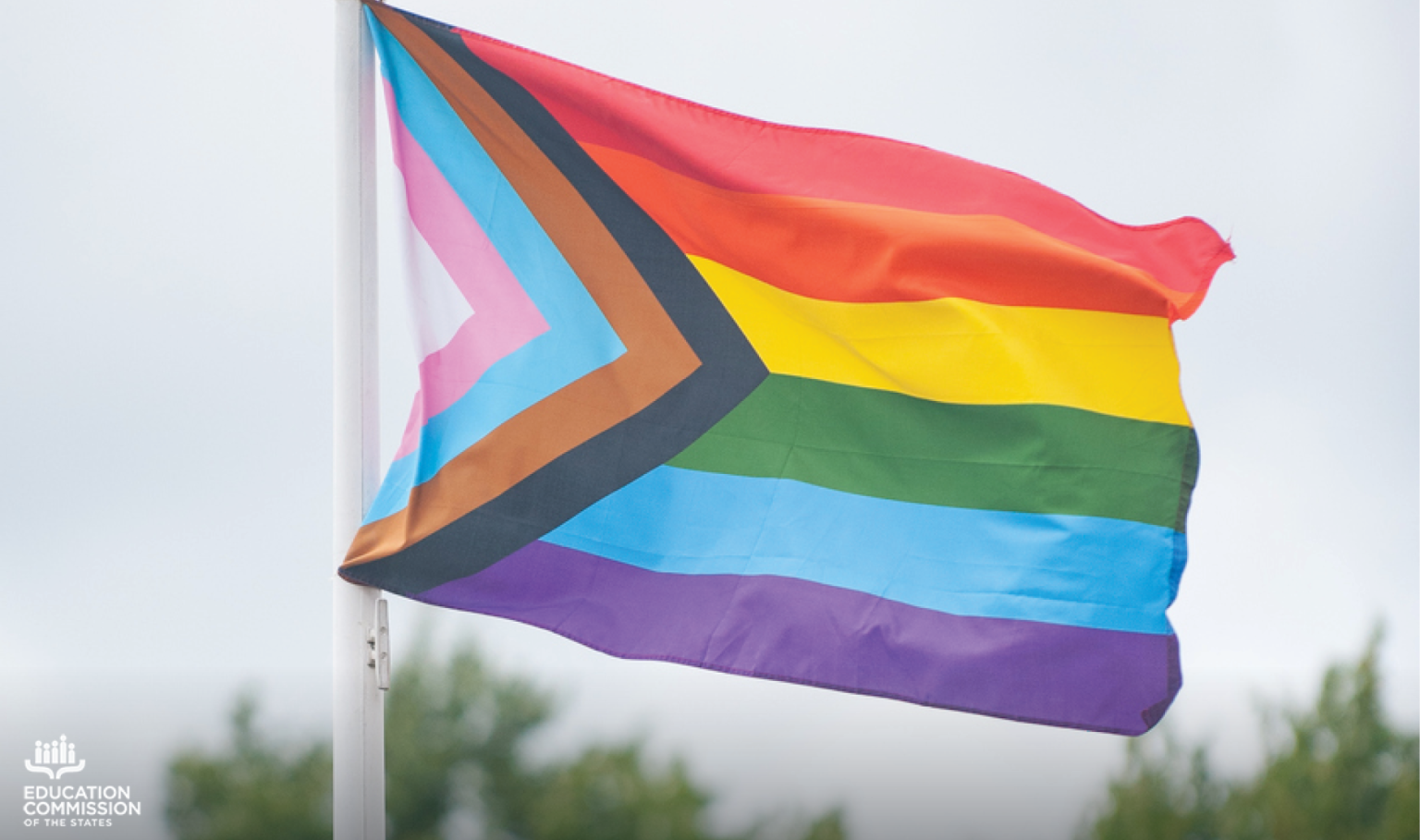 Recent State Action in Recognition of LGBT History Month - Education ...