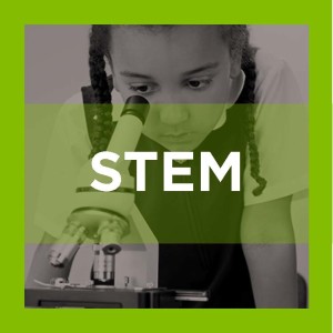 What Are "U" Thinking? STEM challenges and a state model - Education ...